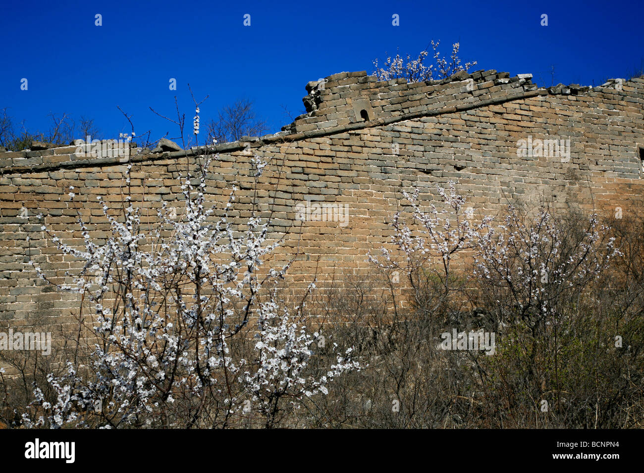 Damaged wall in spring, Jinshanling Great Wall, Hebei Province, China ...
