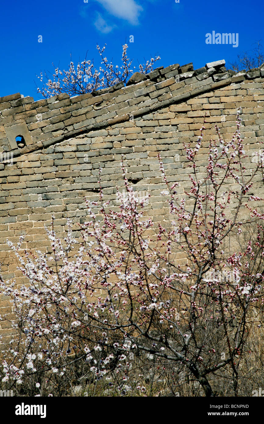 Damaged wall on Jinshangling Great Wall in spring, Hebei Province ...