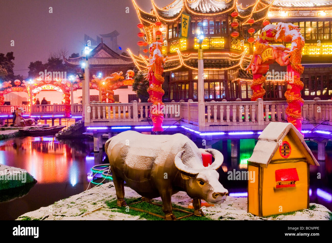 Chinese new year decoration in shanghai night Stock Photo - Alamy