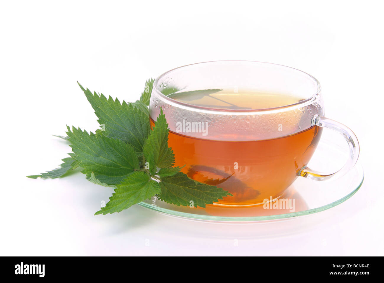 Tee Brennessel tea nettle 03 Stock Photo - Alamy