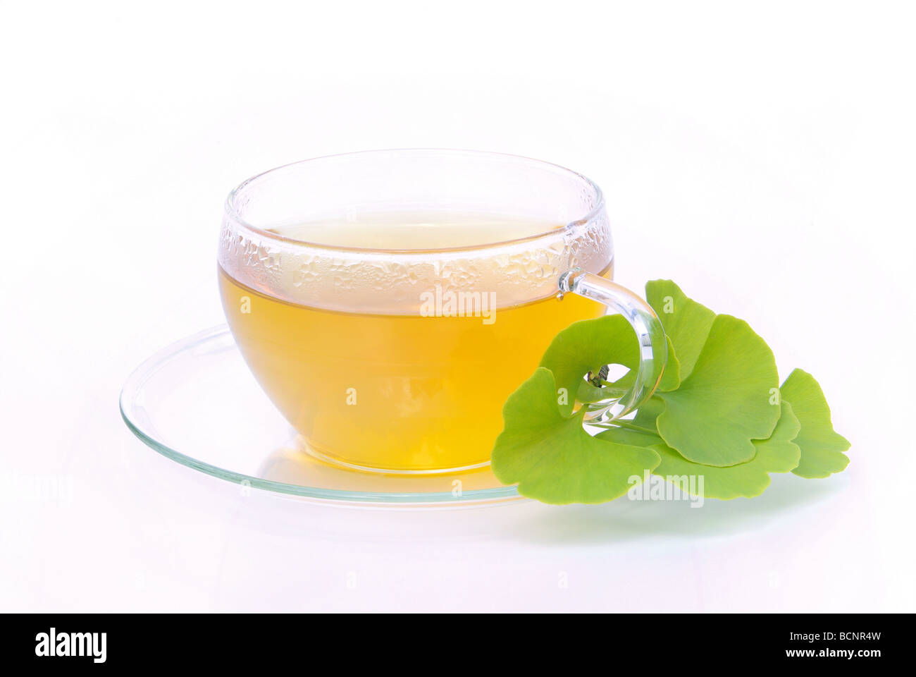 Tee Ginkgo tea ginkgo 02 Stock Photo - Alamy