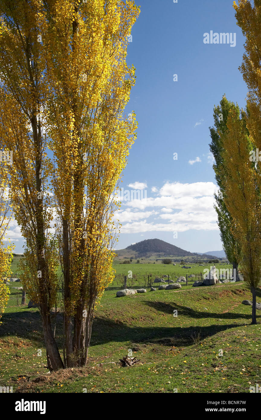 Kings meadows hi-res stock photography and images - Alamy