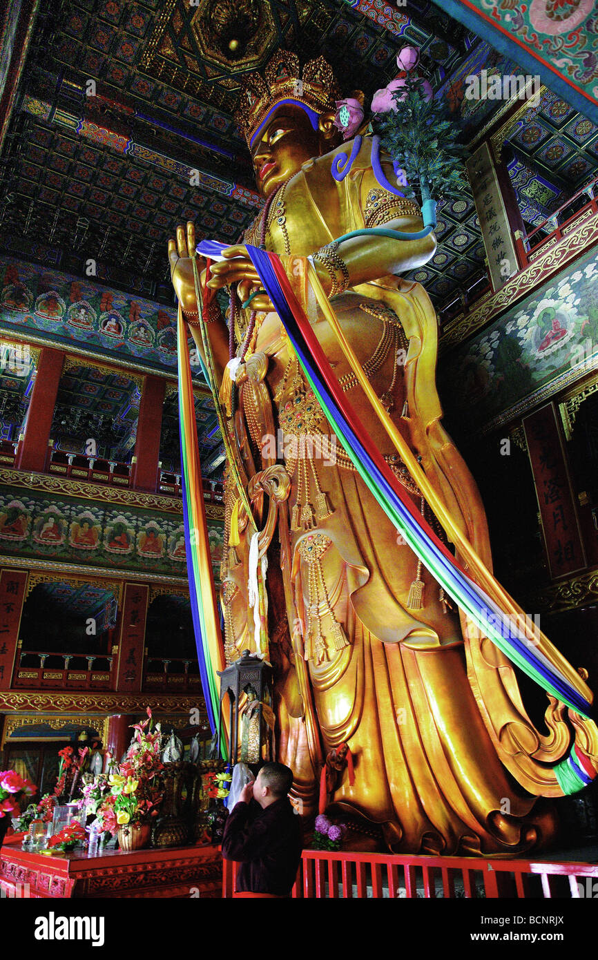 The Golden statue of Buddha in the Lama Temple, Beijing, China Stock ...