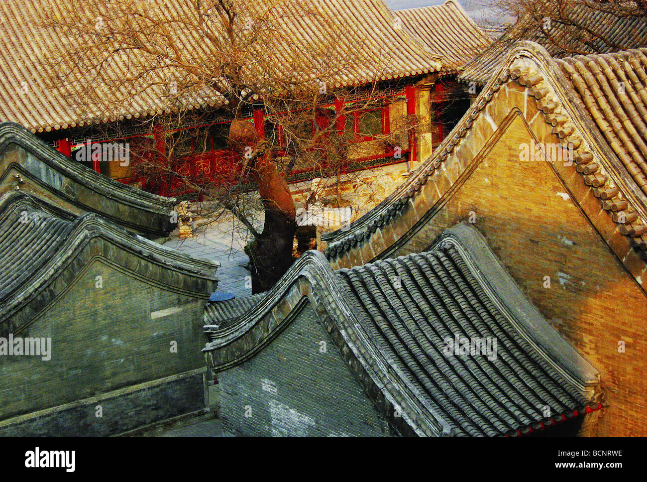Fuguo hi-res stock photography and images - Alamy