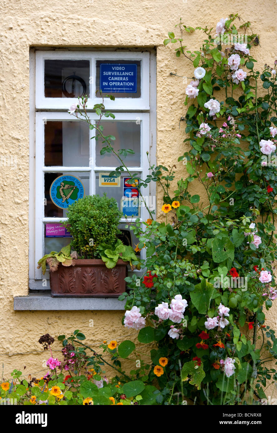 Front of Irish cottage Adare village Ireland Stock Photo - Alamy