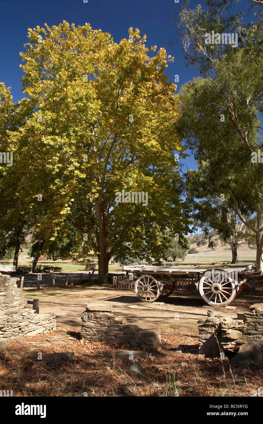 Joseph carberry hi-res stock photography and images - Alamy