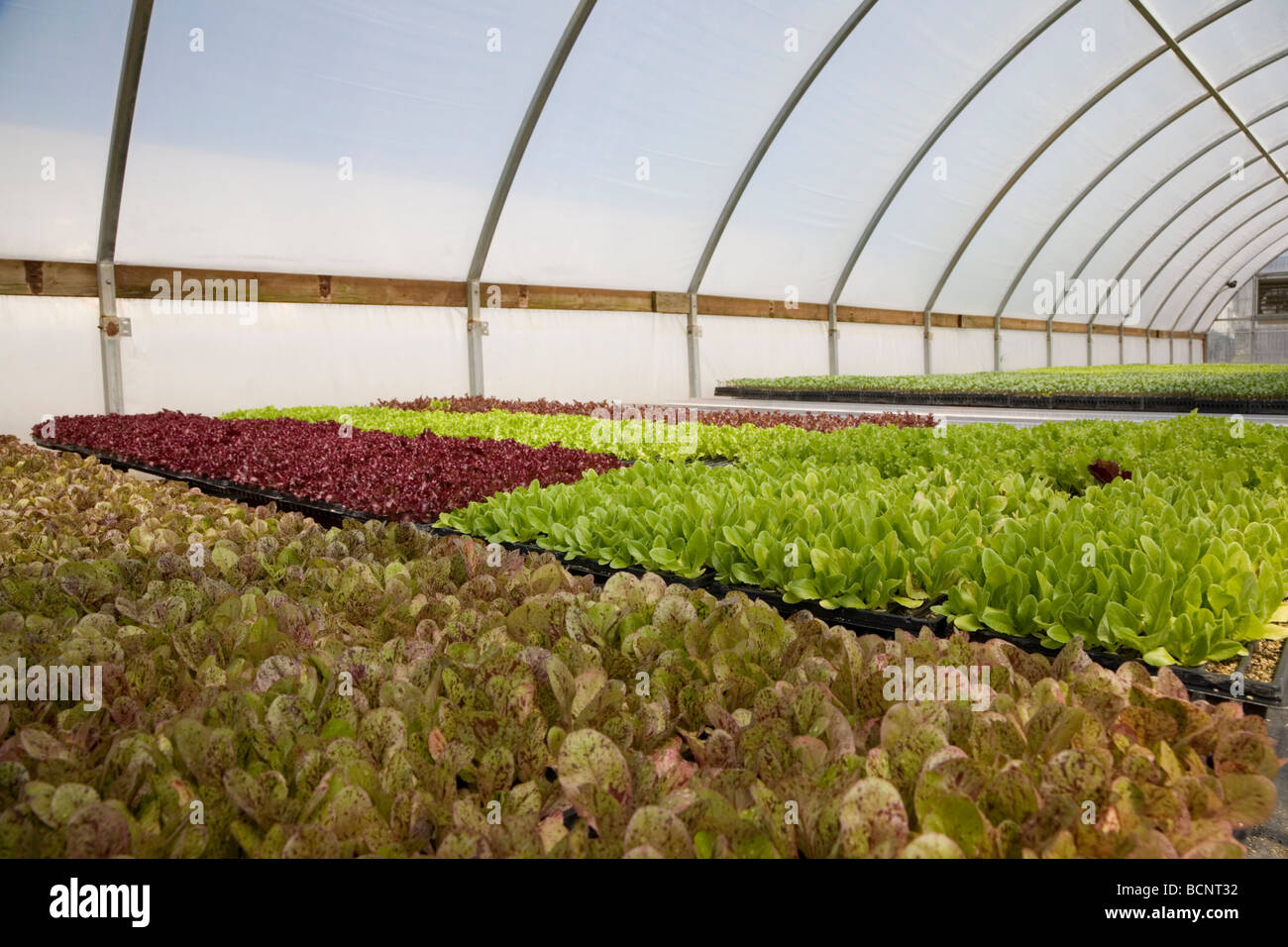 Full Circle Farm Organic Produce Farm in Carnation, Washington Stock ...