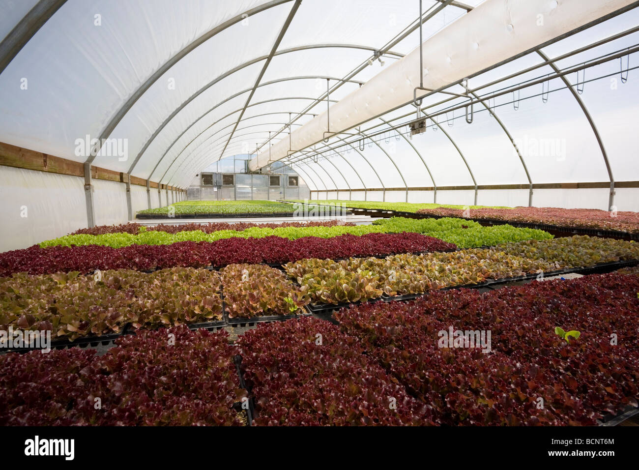 Full Circle Farm Organic Produce Farm in Carnation, Washington Stock ...