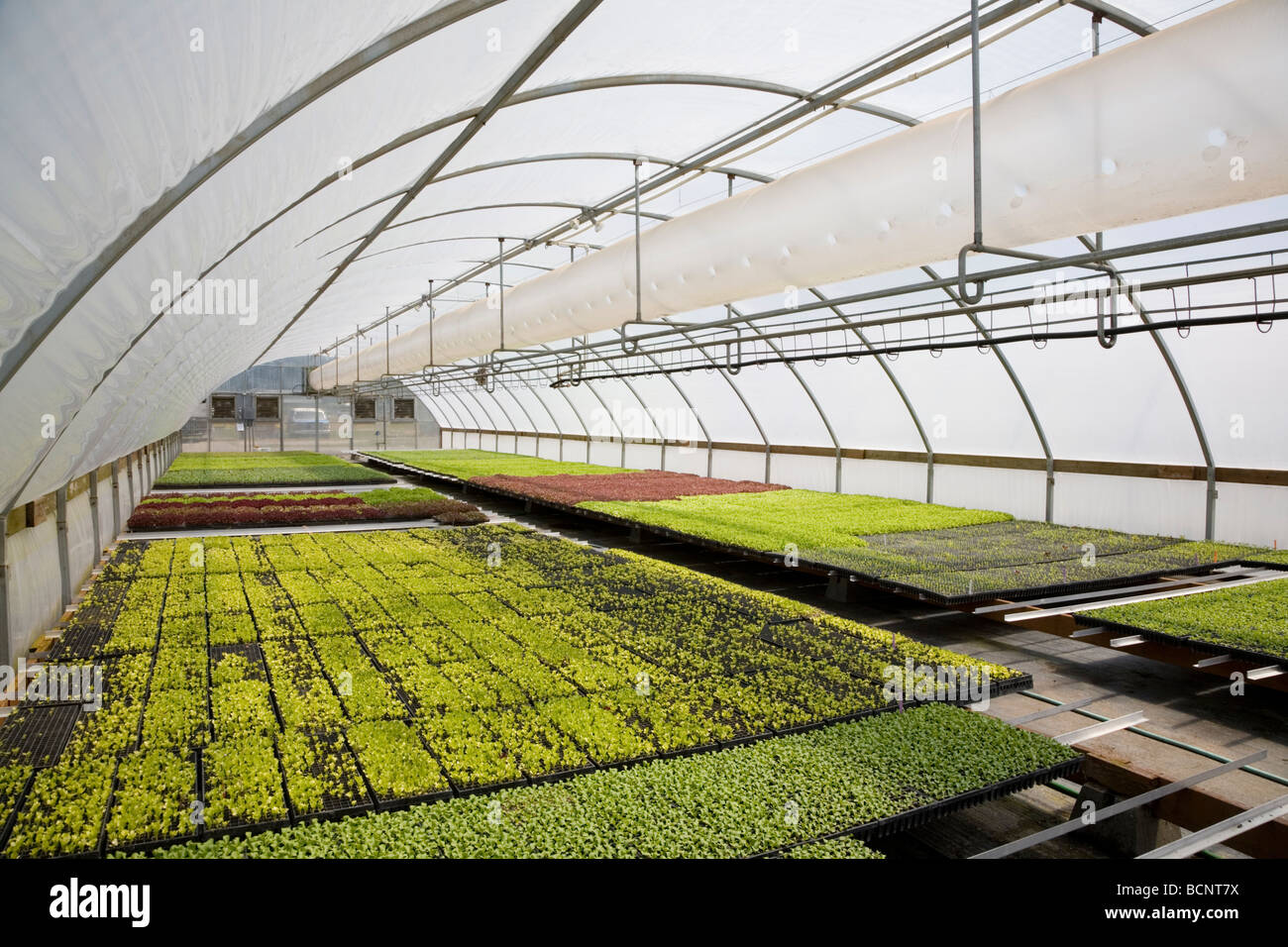 Full Circle Farm Organic Produce Farm in Carnation, Washington Stock ...