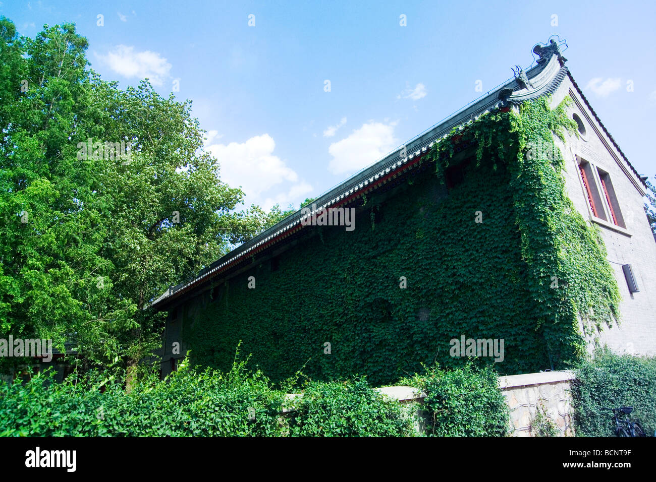 Asia university lecture hi-res stock photography and images - Alamy
