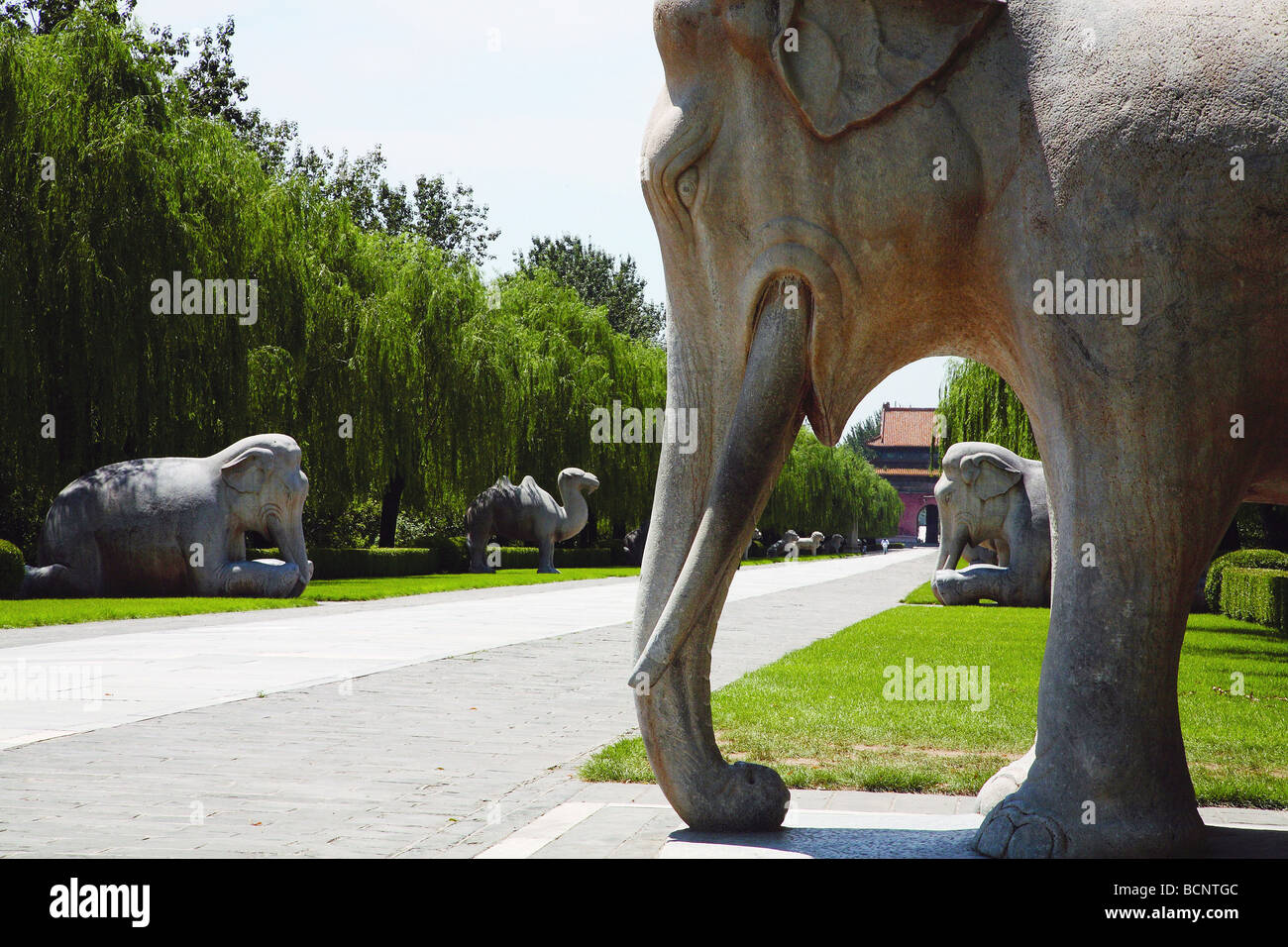 Stone carved statues on the Sacred Road in Ming Tombs in Beijing, China ...