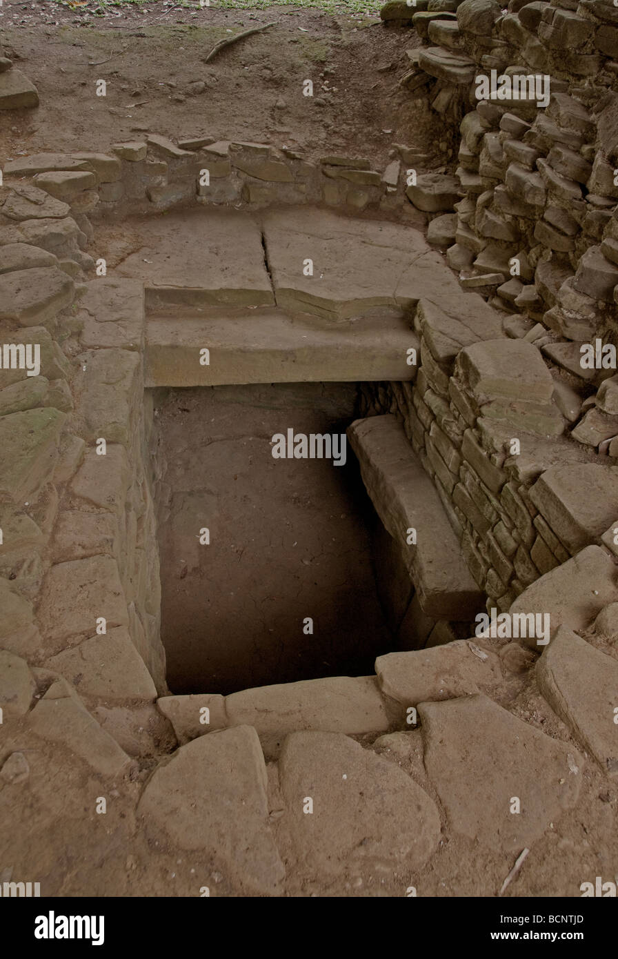 The archaeological features of the Mayan ruins Nim Li Punit near Punta ...