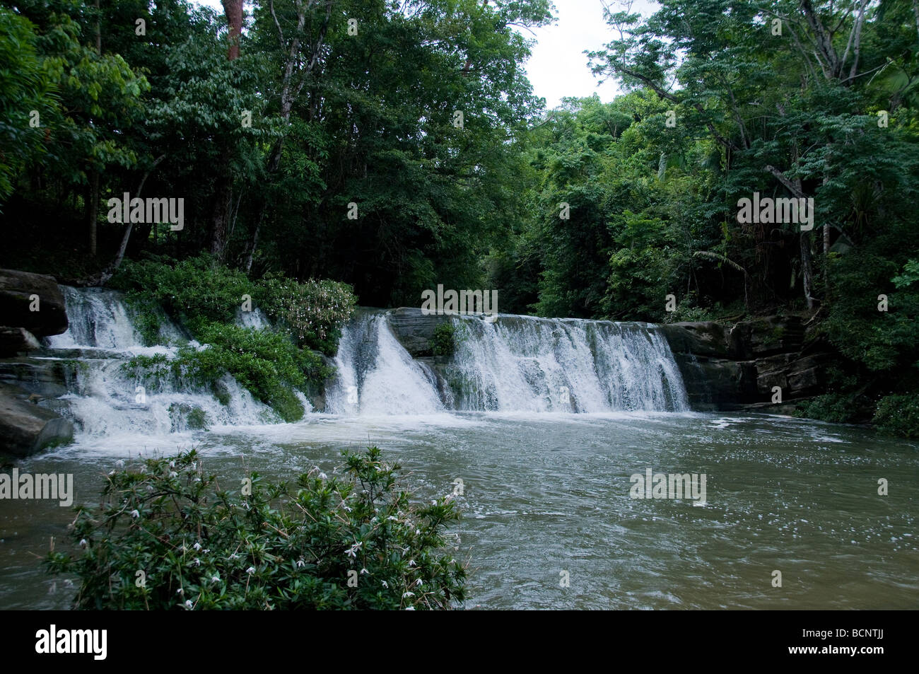 The San Antonio Waterfalls is a popular spot in the middle of Mayan ...