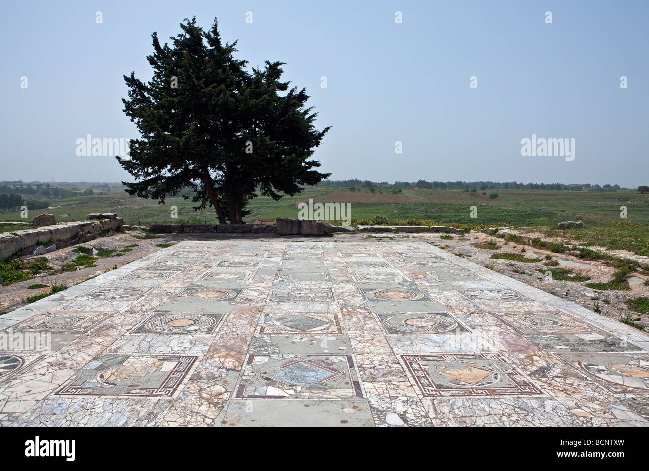 Libya archaeological site of Cyrene the ruins of a Roman villa Stock ...