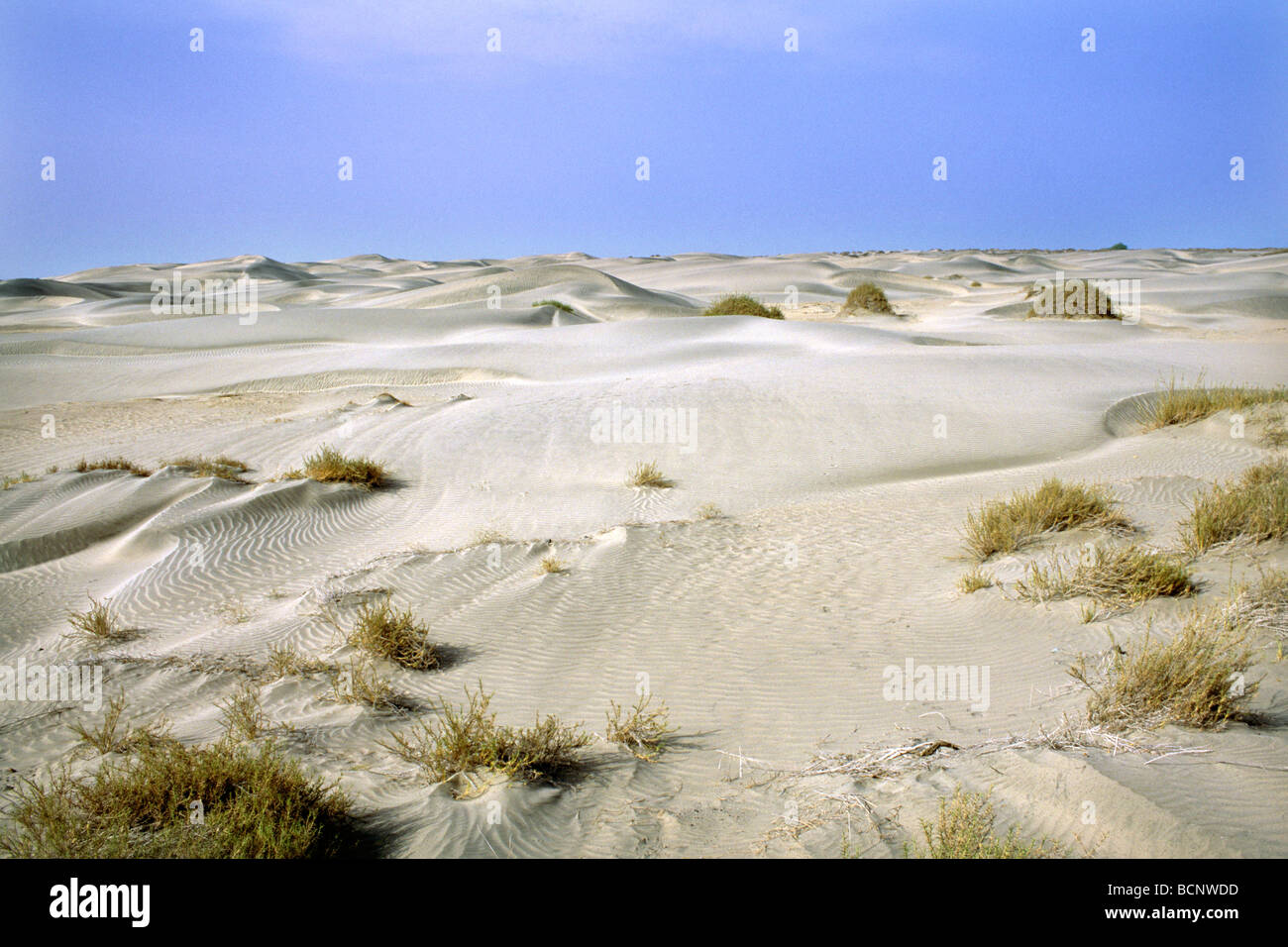 Harram hi-res stock photography and images - Alamy