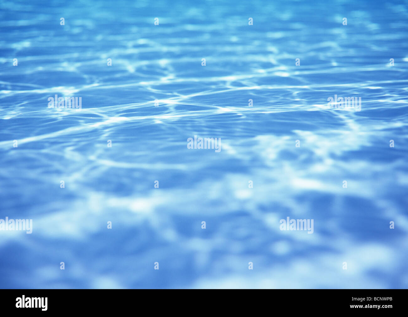 The bottom of the ocean Stock Photo - Alamy