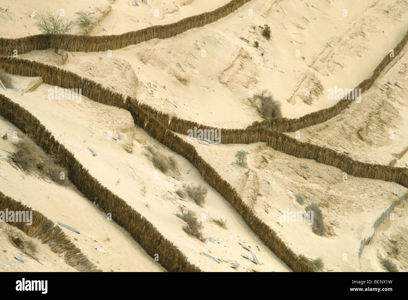 tunisia Artificial barriers to stop the sand Outskirts of Nefta Stock ...