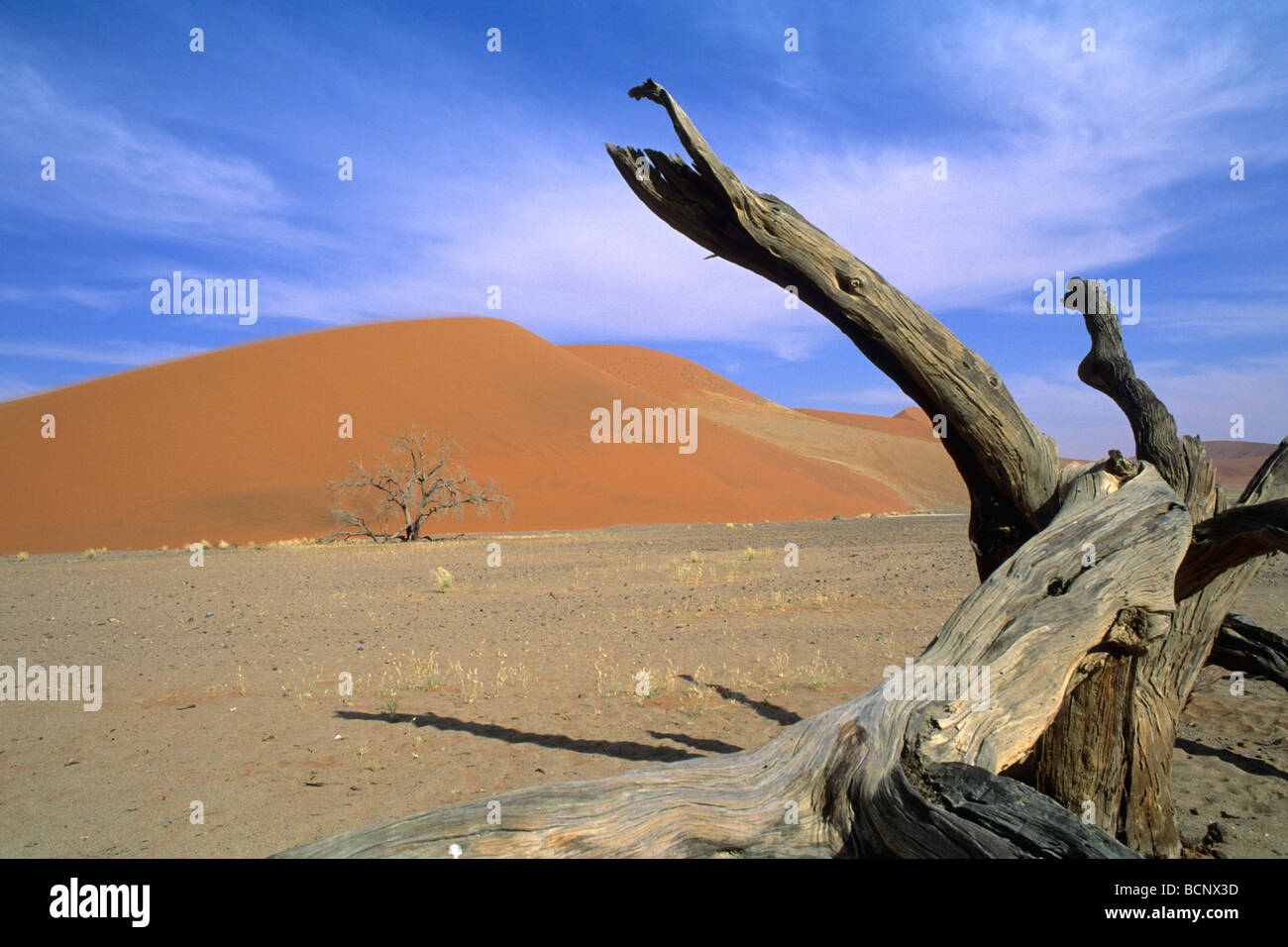 namibia Namib Desert Stock Photo - Alamy