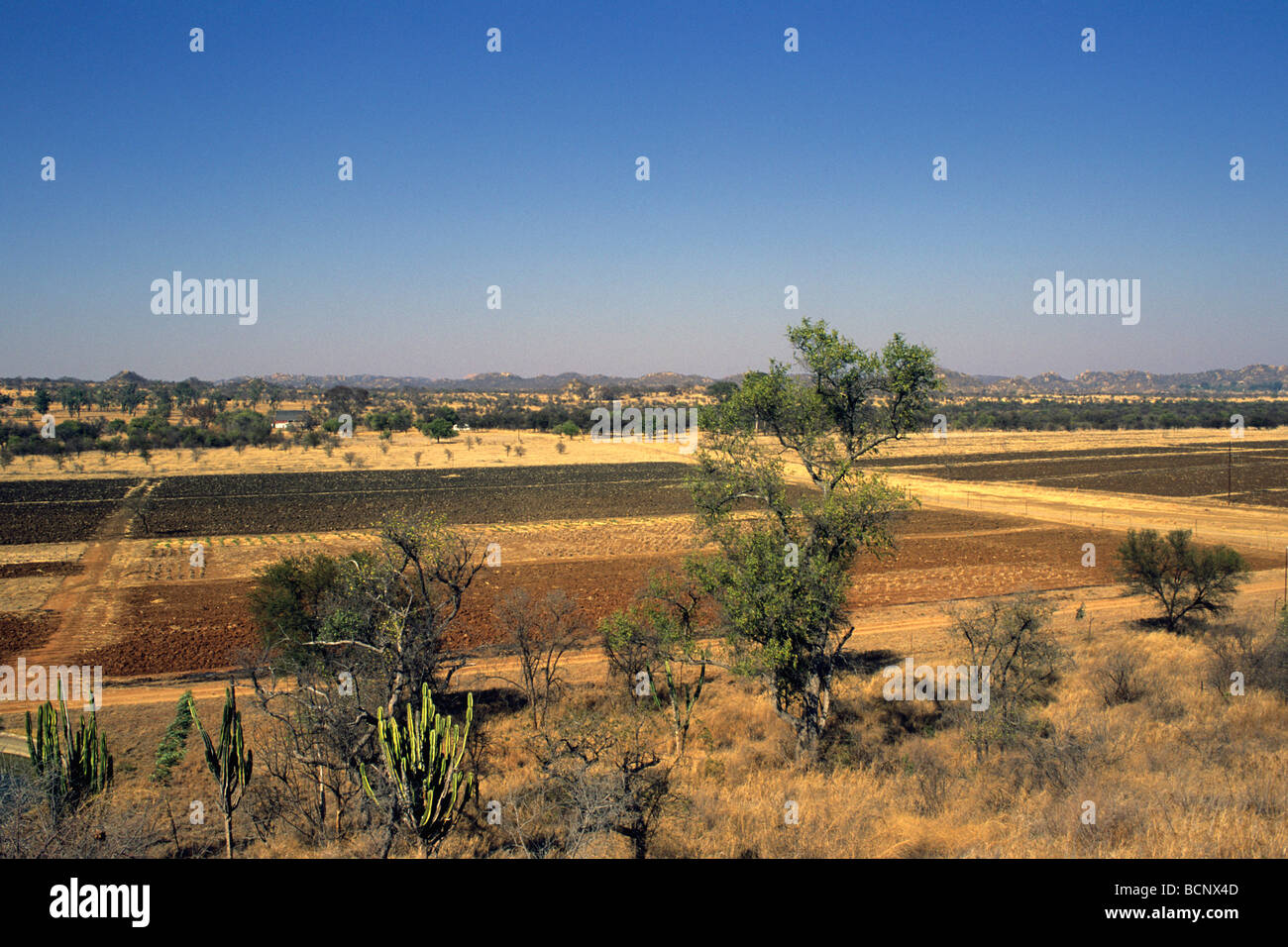 zimbabwe Landscape near Hwange Stock Photo - Alamy