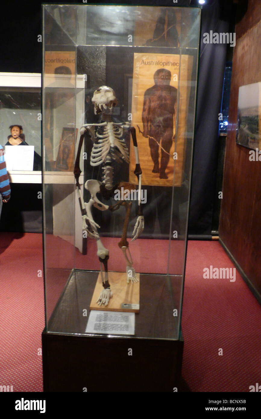 ethiopia addis ababa national museum Stock Photo - Alamy