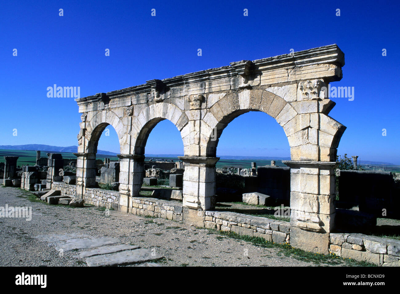 morocco Archaeological site of Volubilis Stock Photo - Alamy