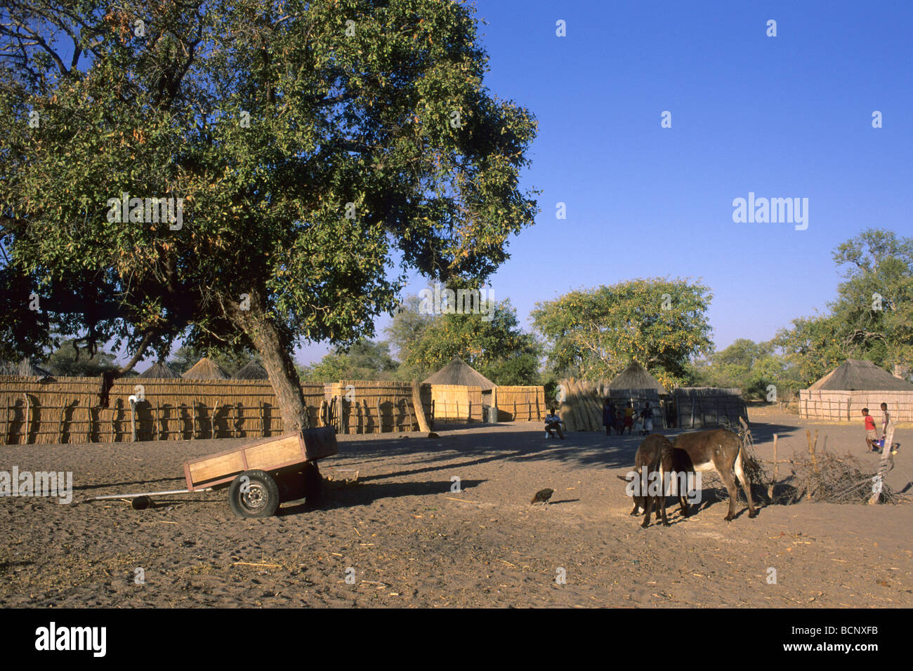 Shakawe hi-res stock photography and images - Alamy
