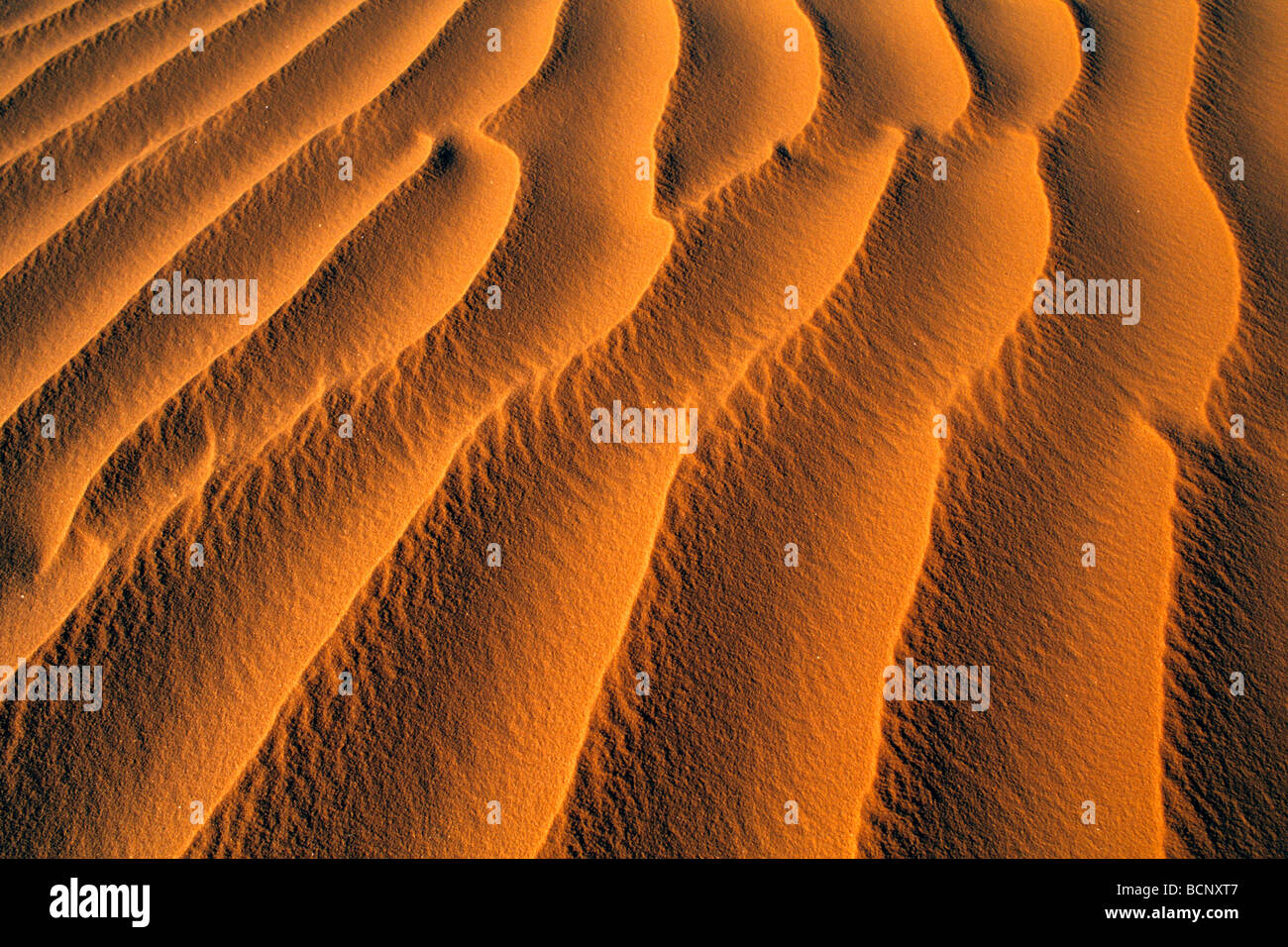 libya erg awbari Stock Photo - Alamy