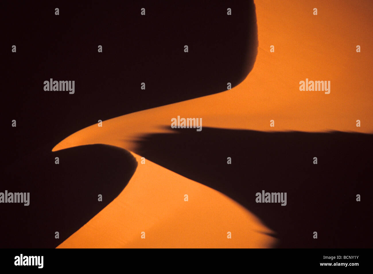 Sand biotopes hi-res stock photography and images - Alamy