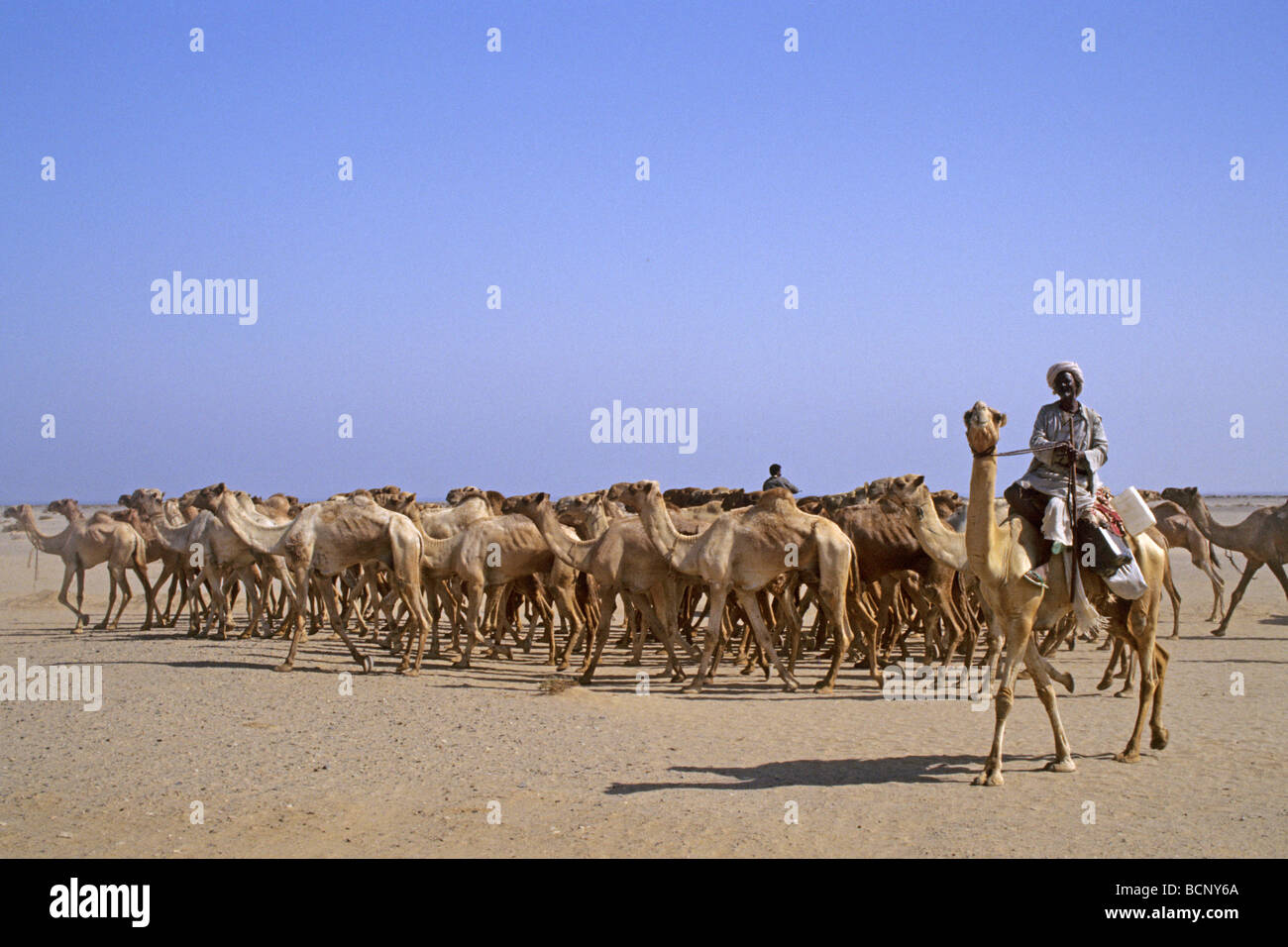 nubia sudan bayuda desert Stock Photo - Alamy