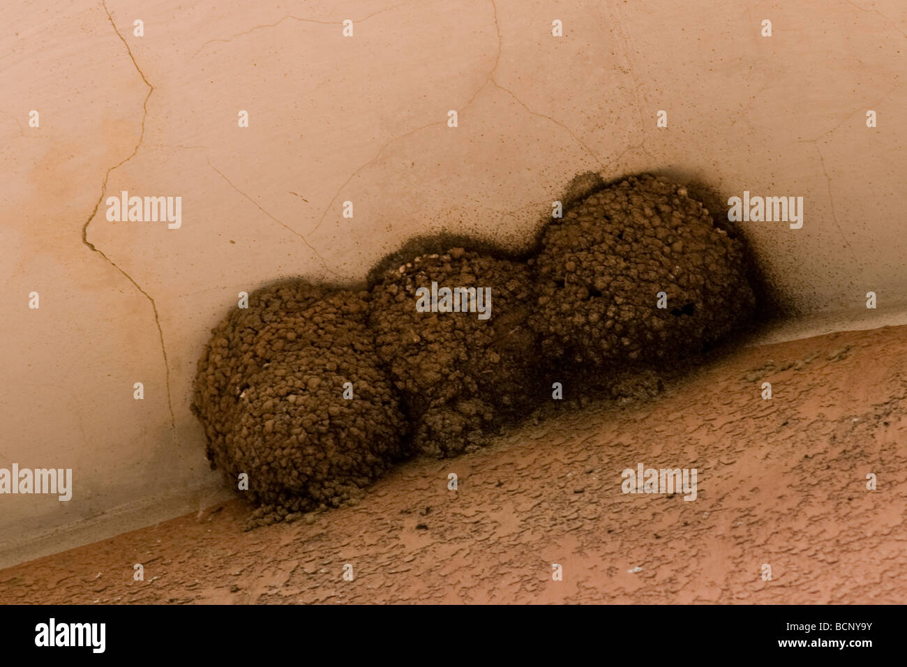 Swallow s nest hi-res stock photography and images - Alamy