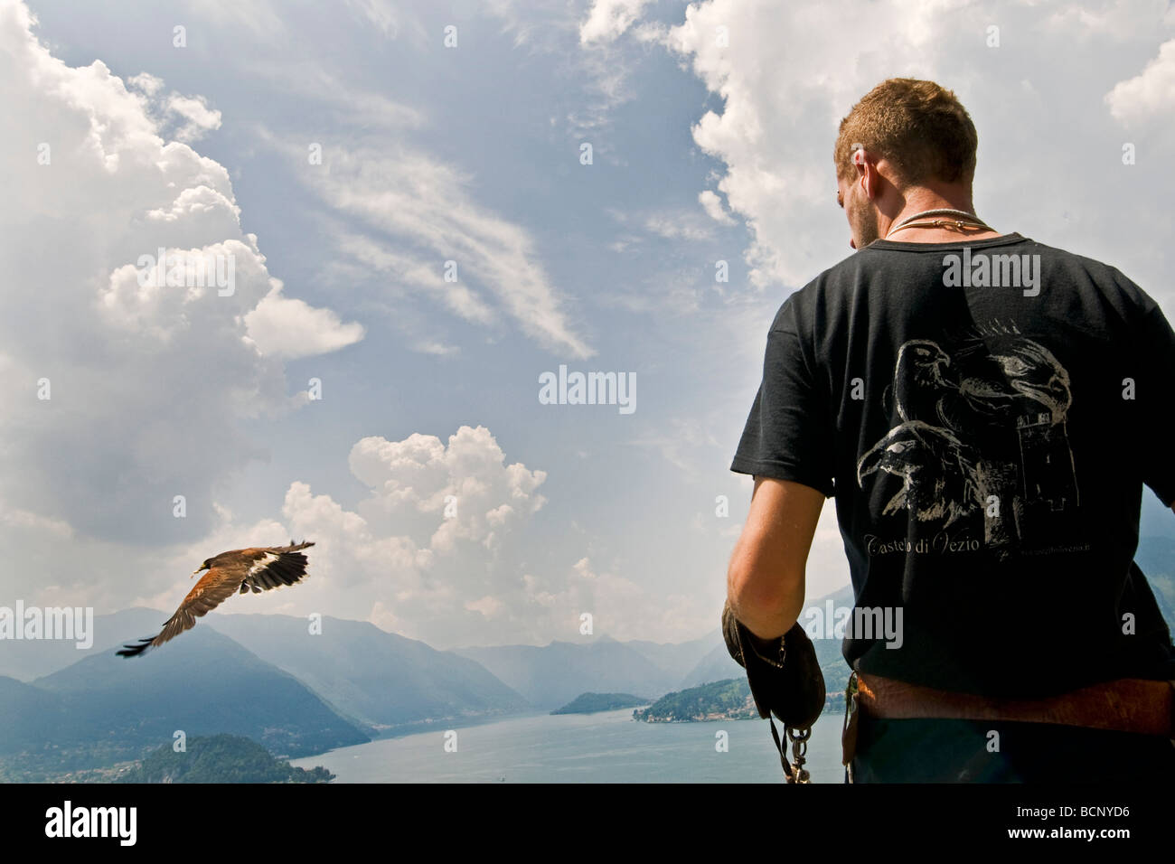 Global hawk flying hi-res stock photography and images - Alamy