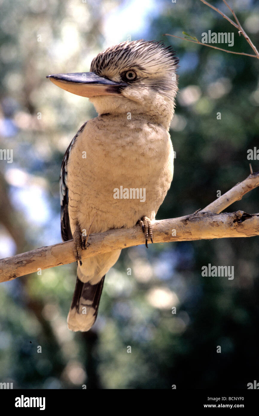 Bathurst lake hi-res stock photography and images - Alamy