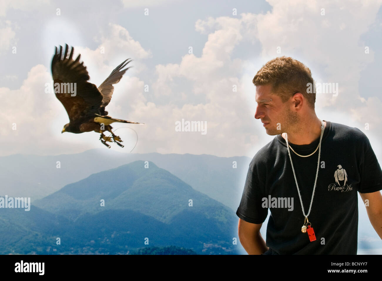 Hawk Rapacious Predatory Bird High Resolution Stock Photography and ...