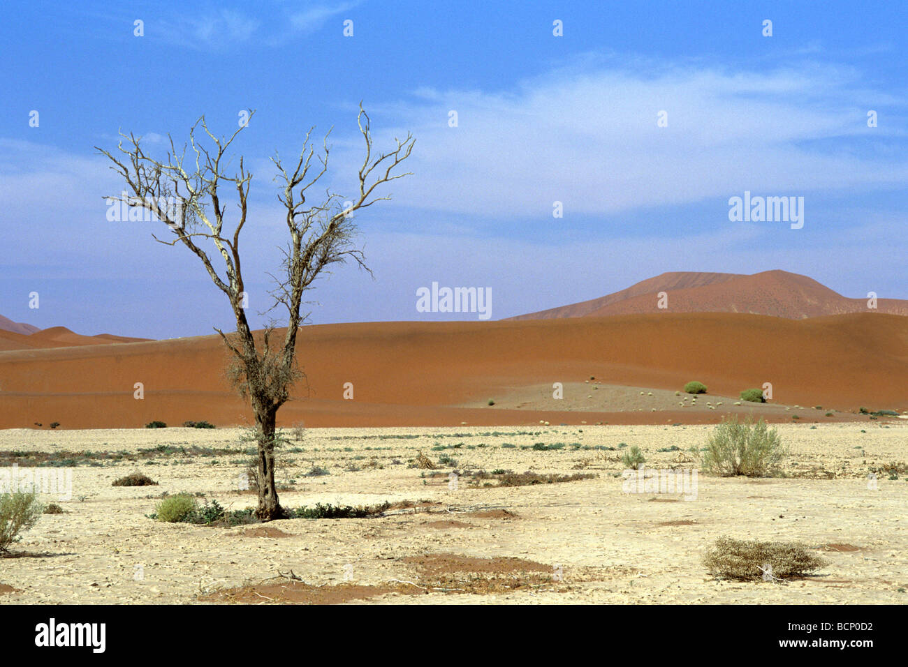 namibia Desert landscape near Sossusvlei Stock Photo - Alamy
