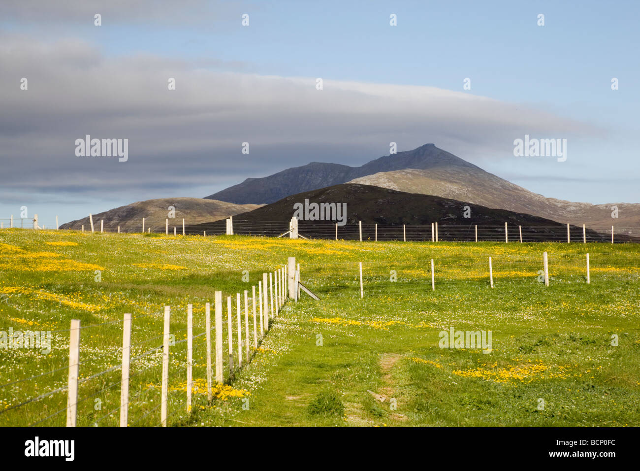 Fencelines on the machair near Howmore, South Uist, with Hecla fbeyond ...