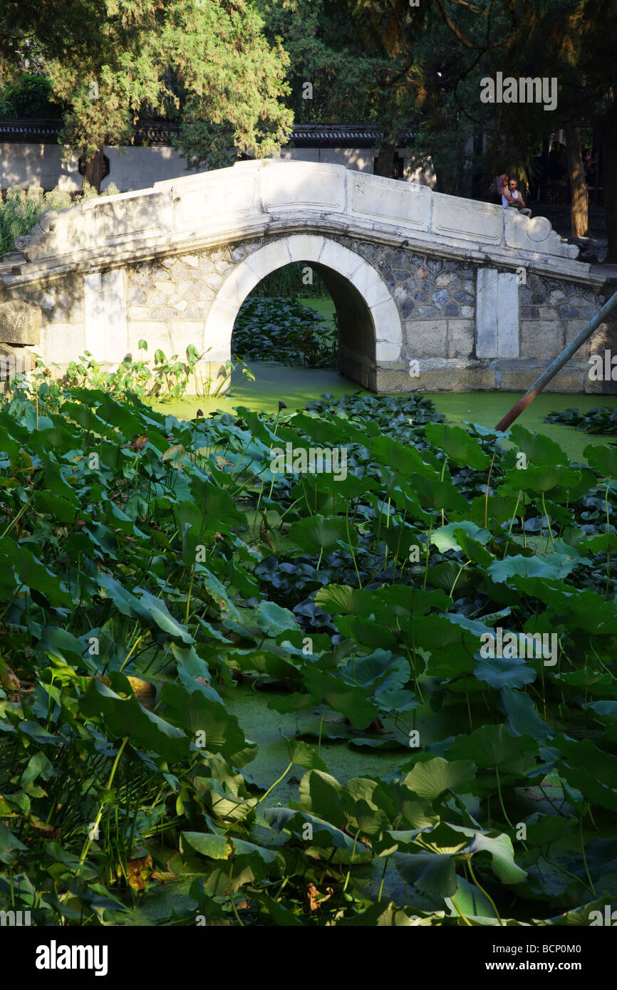 A stone arch bridge in the Summer Palace, Beijing, China Stock Photo ...