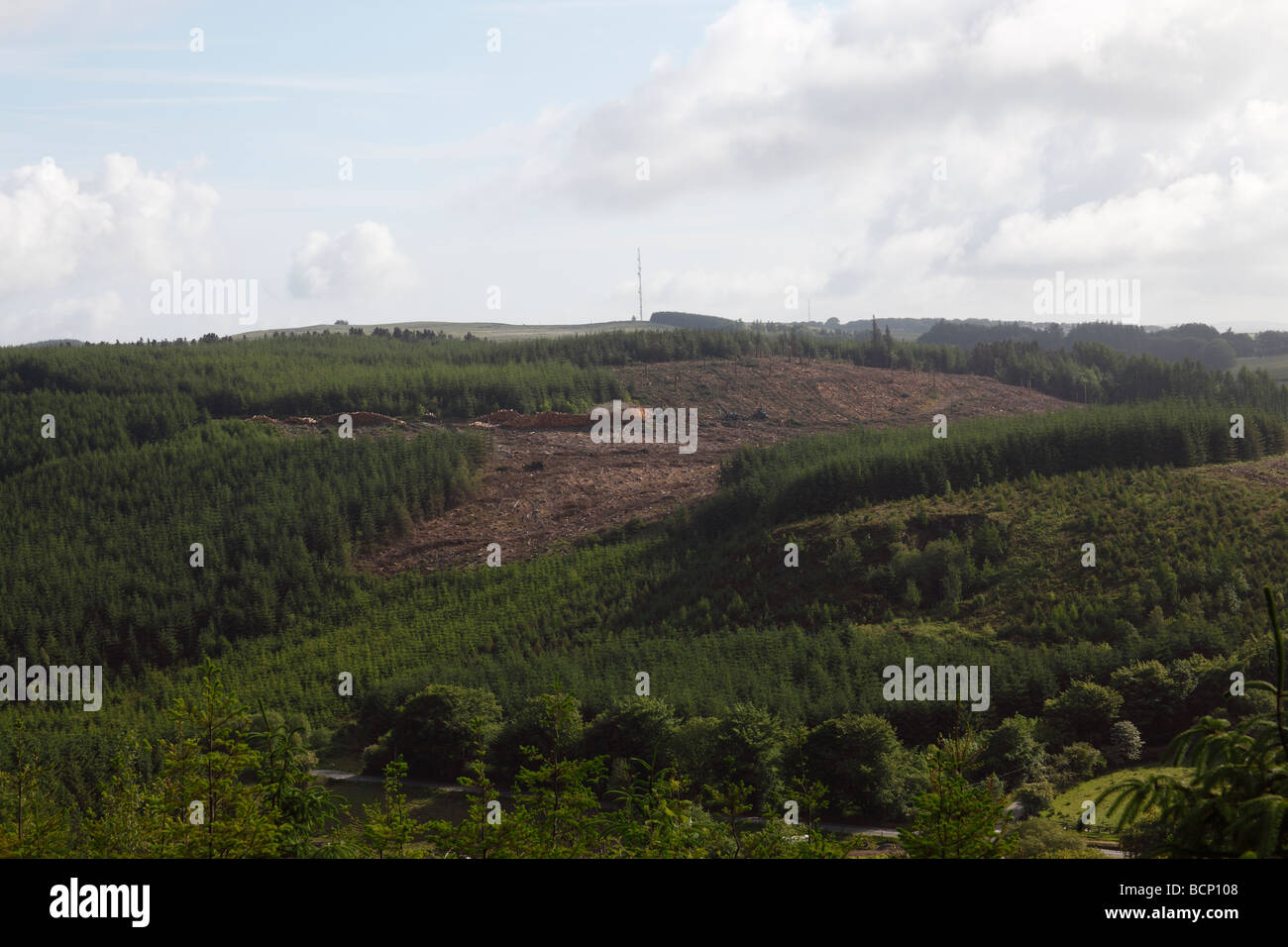 Clear felling hi-res stock photography and images - Alamy