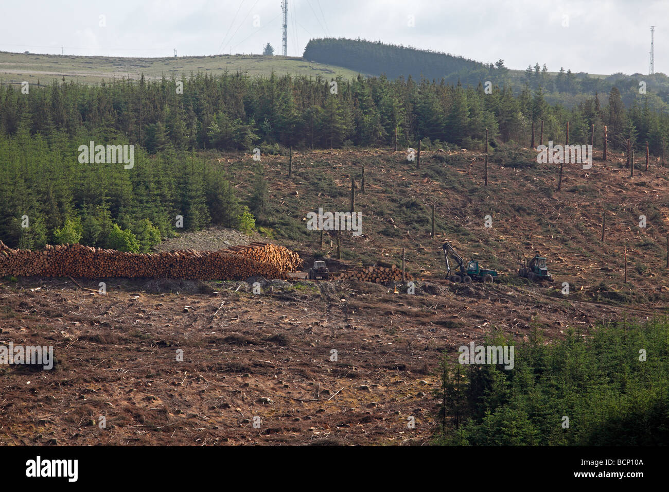 Clear felling hi-res stock photography and images - Alamy