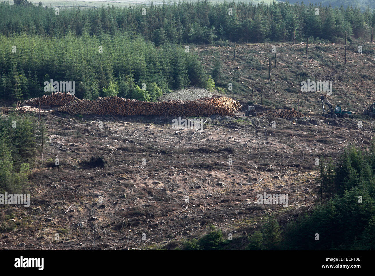 Clear felling hi-res stock photography and images - Alamy