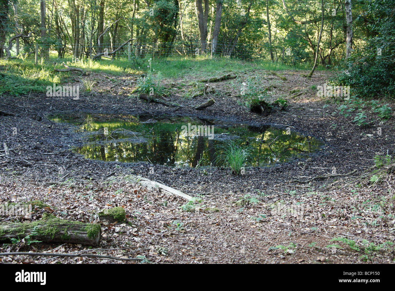 Pingo pool Breckland Norfolk Stock Photo - Alamy