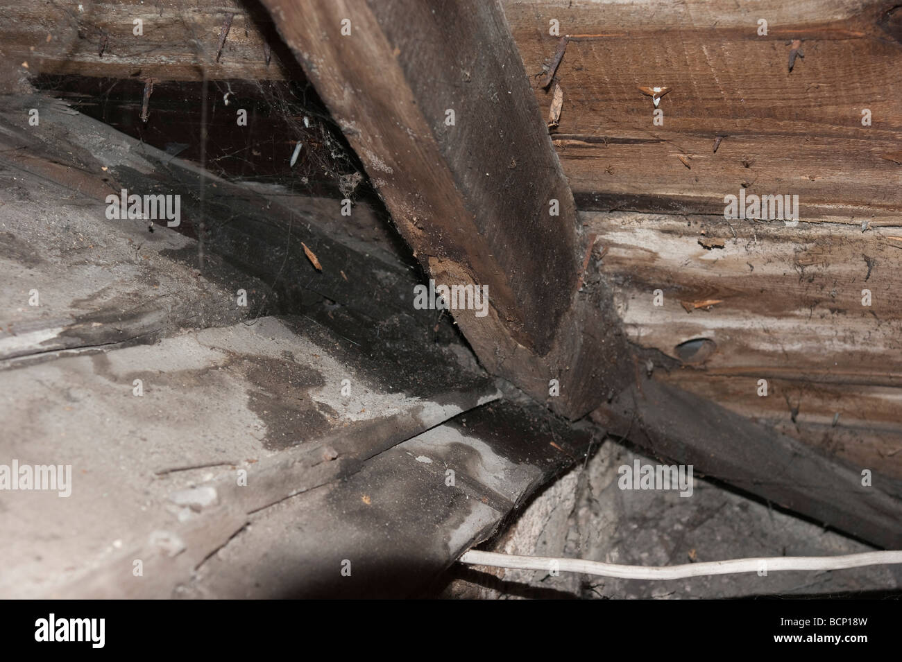 Sarking hi-res stock photography and images - Alamy
