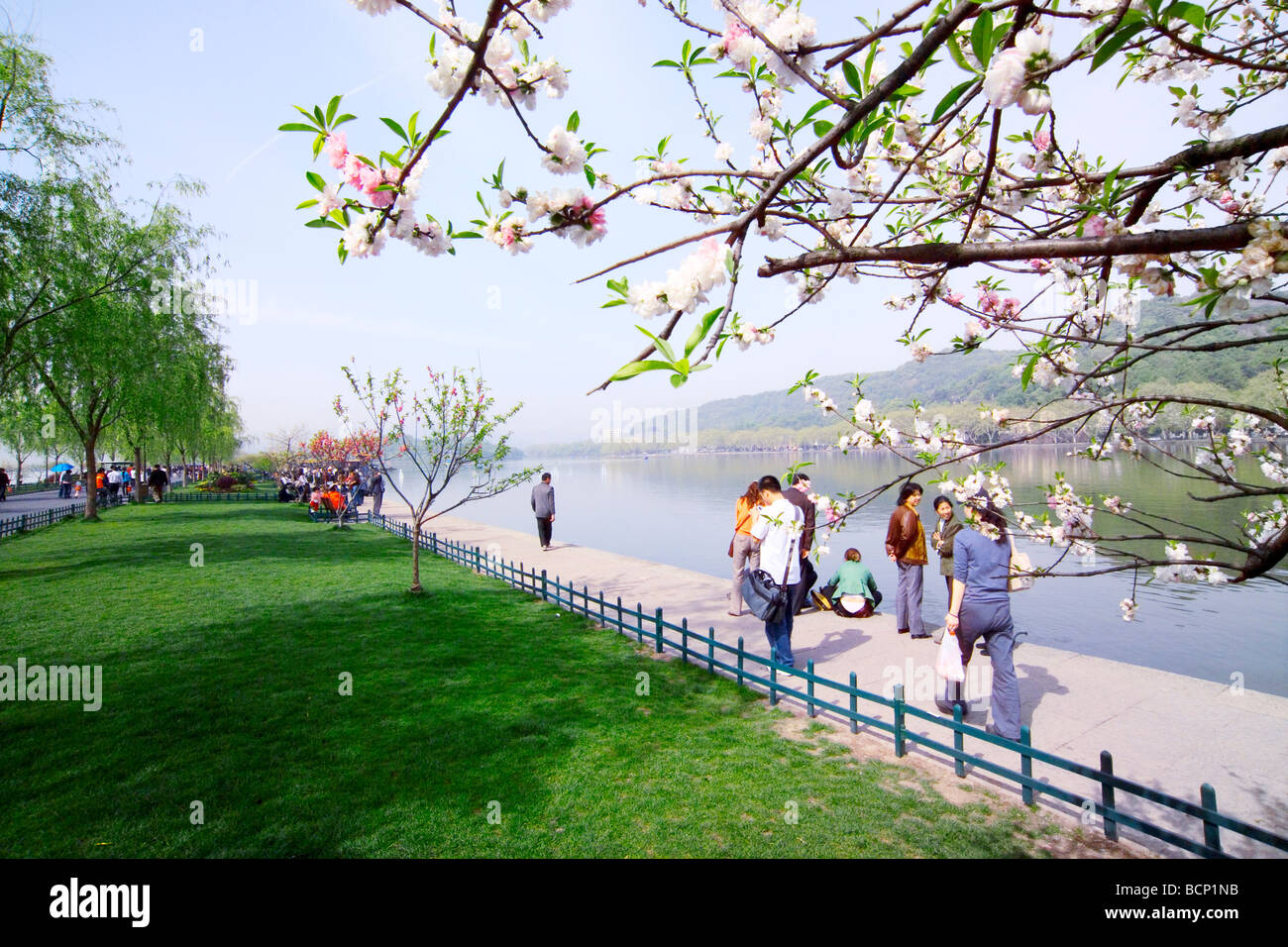 Spring at West Lake, Hangzhou, Zhejiang Province, China Stock Photo - Alamy
