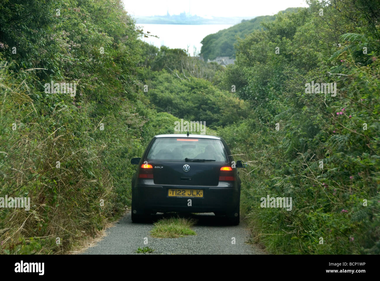 Pembrokeshire Wales Driving on a narrow country lane Stock Photo - Alamy