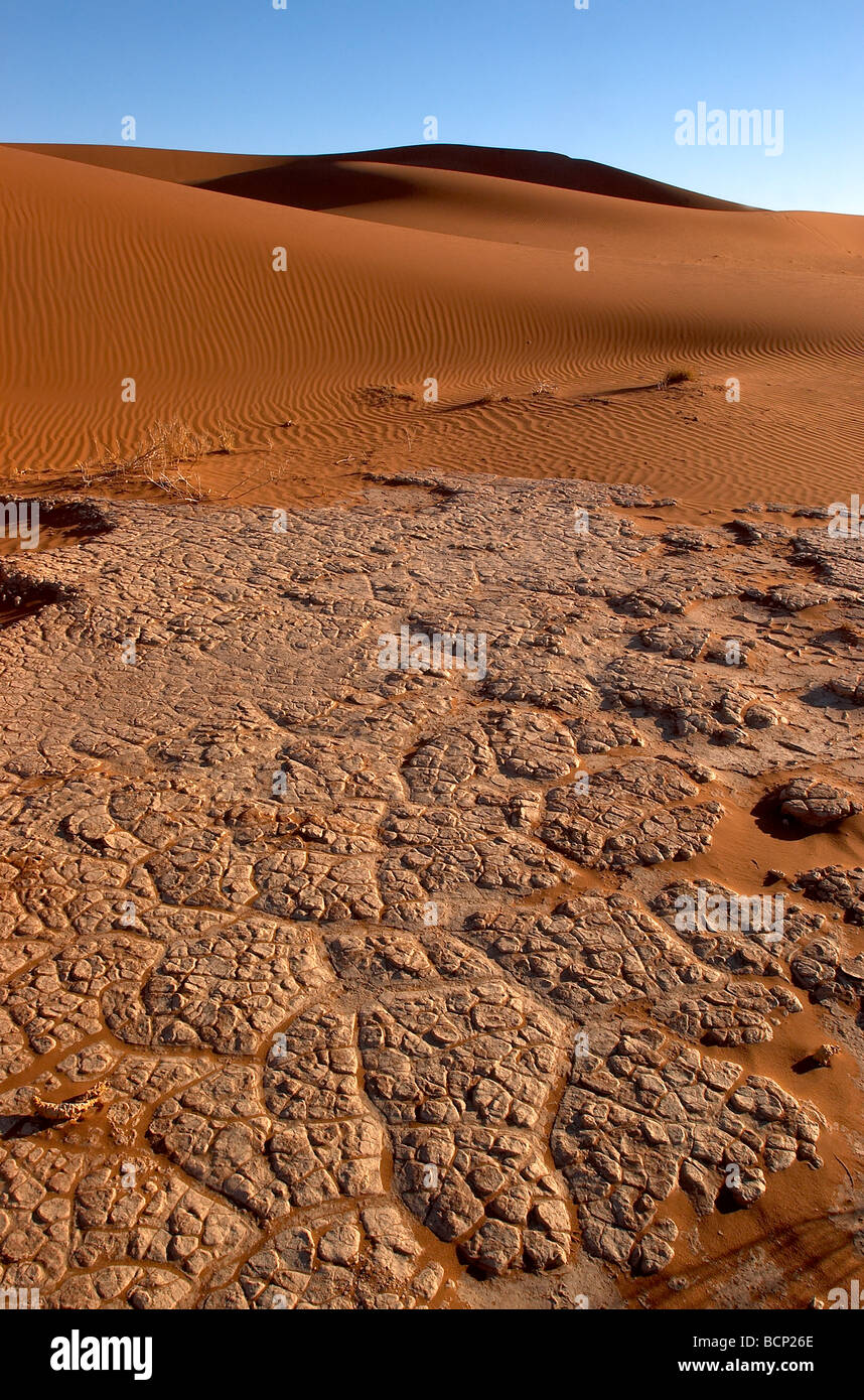 Dried up desert floor and the Sossusvlei sand dunes towering as high as ...
