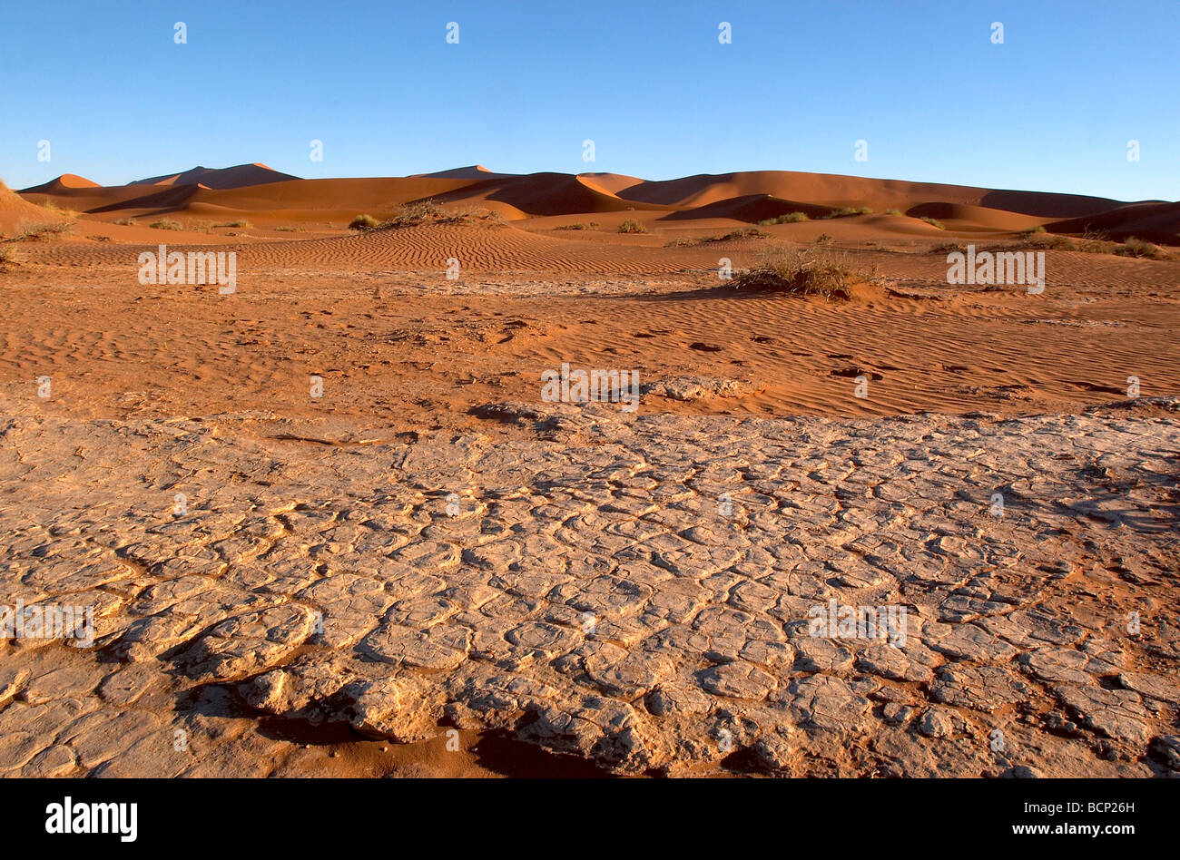 Dried up desert floor and the Sossusvlei sand dunes towering as high as ...