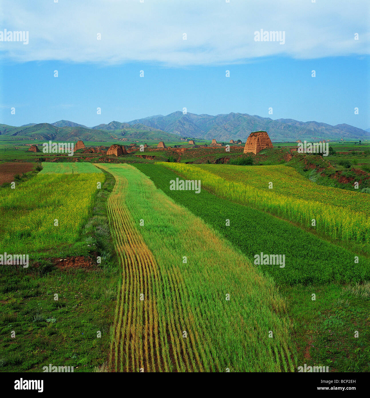 China farm history hi-res stock photography and images - Alamy