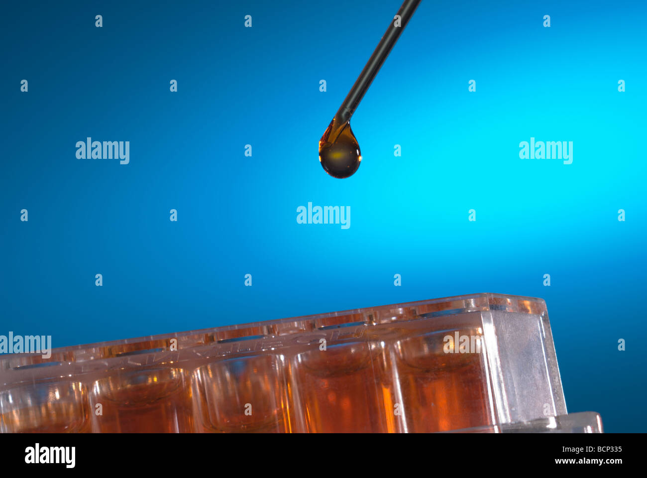 Multi well container hi-res stock photography and images - Alamy