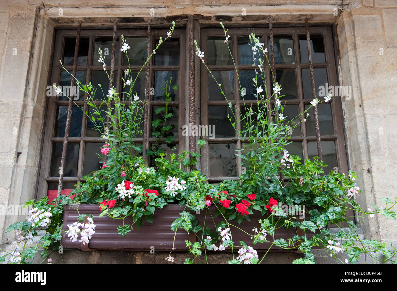 Window box in old house in Bayeux, Normandy, France Stock Photo - Alamy