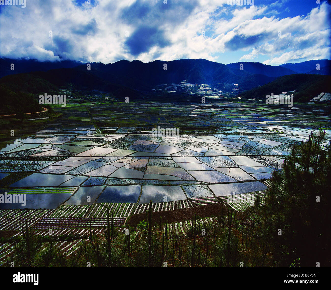 The highest rice paddies in China in Pantiange, Weixi Lisu Autonomous ...