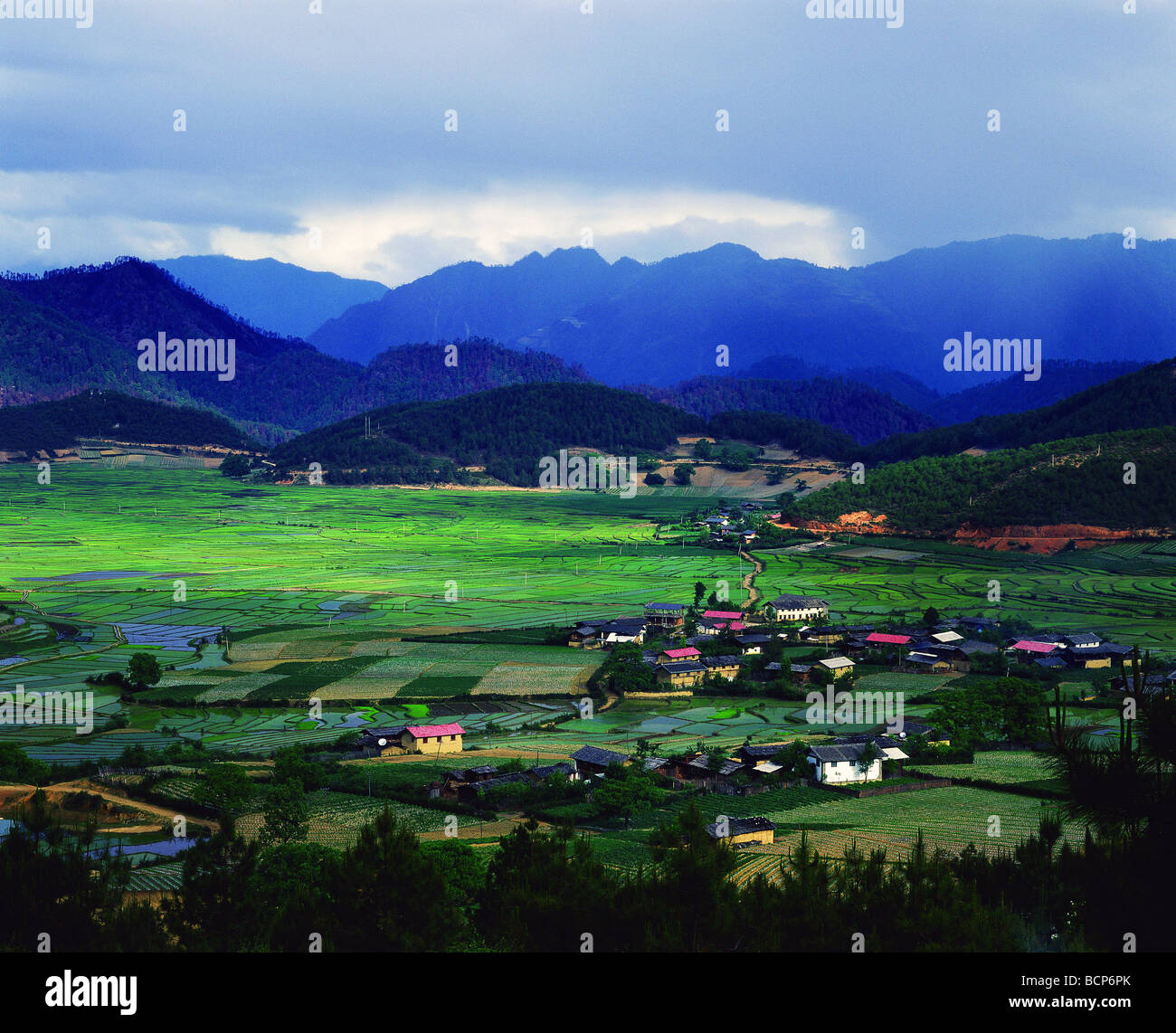 The highest rice paddies in China in Pantiange, Weixi Lisu Autonomous ...
